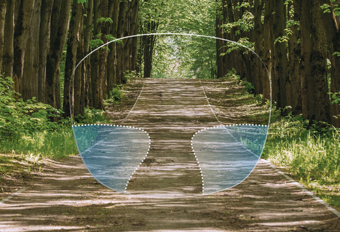 Portfolio Highlights – LensTech Lab Limited